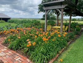 Stay at Our Guest House - Acadian Museum